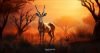 Gazelle Symbolism & Meaning - Symbolopedia