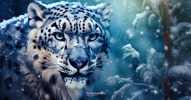 Snow Leopard Symbolism & Meaning - Symbolopedia