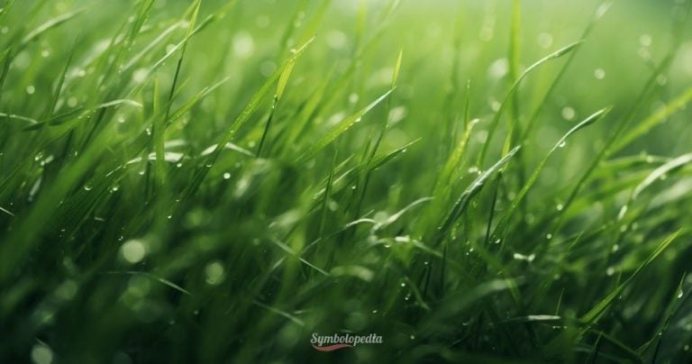 Grass Symbolism & Meaning - Symbolopedia
