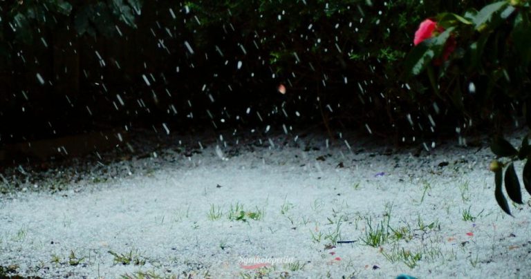 Chalice Symbolism & Meaning - Symbolopedia