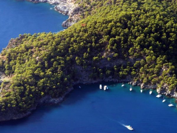 Wetland Symbolism & Meaning - Symbolopedia