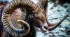 Horn Symbolism & Meaning - Symbolopedia
