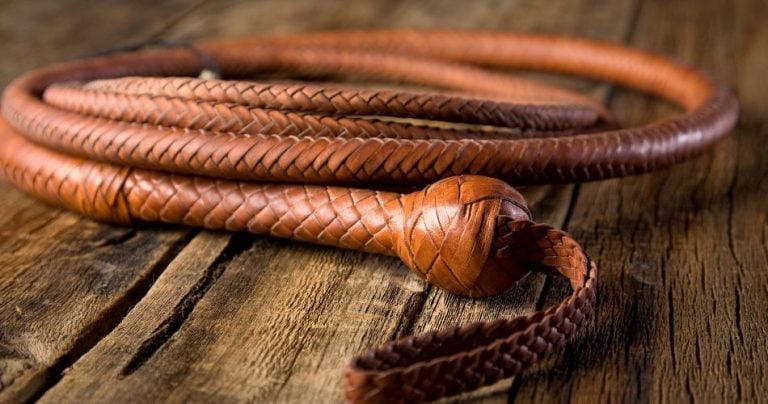 Whip Symbolism & Meaning - Symbolopedia
