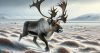 Caribou Symbolism & Meaning - Symbolopedia