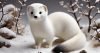 Ermine Symbolism & Meaning - Symbolopedia