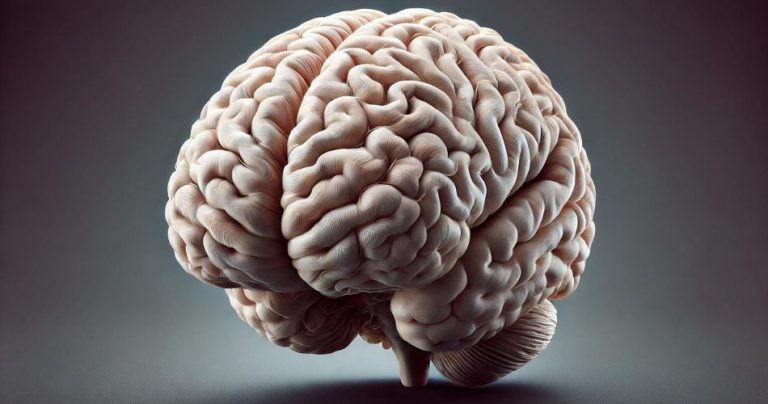 Brain Symbolism & Meaning - Symbolopedia