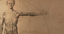 Human Symbolism & Meaning - Symbolopedia