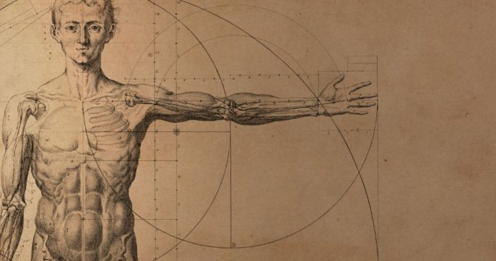 Human Symbolism & Meaning - Symbolopedia